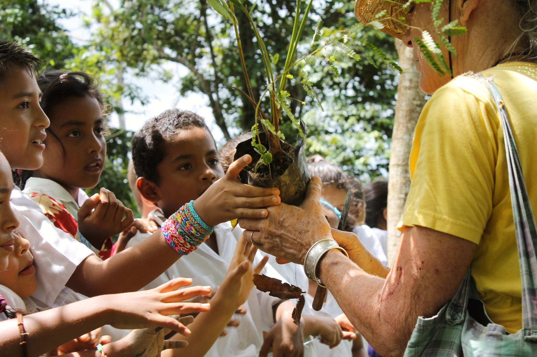 Engaging Minds: Planting Trees, Inspiring Youth - GlobalGiving