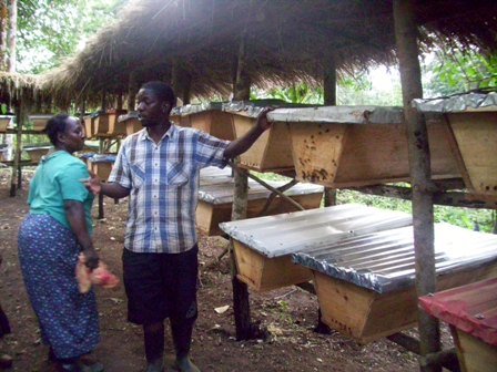 Empower 40 Rural Women in Bee Keeping in Uganda - GlobalGiving