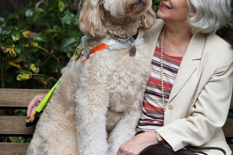 Sponsor a Puppy - Irish Guide Dogs for the Blind - GlobalGiving