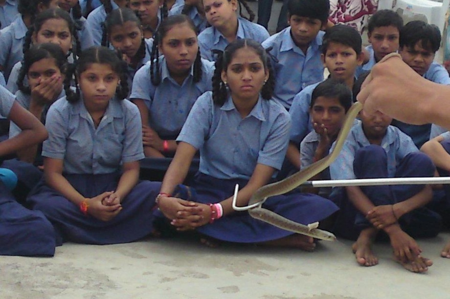 Saving Lives, Human-Snake Conflict Mitigation - GlobalGiving