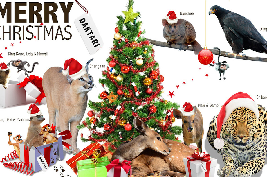 Christmas Gift Donate For An Animal GlobalGiving Christmas Gift Donate For An Animal GlobalGiving