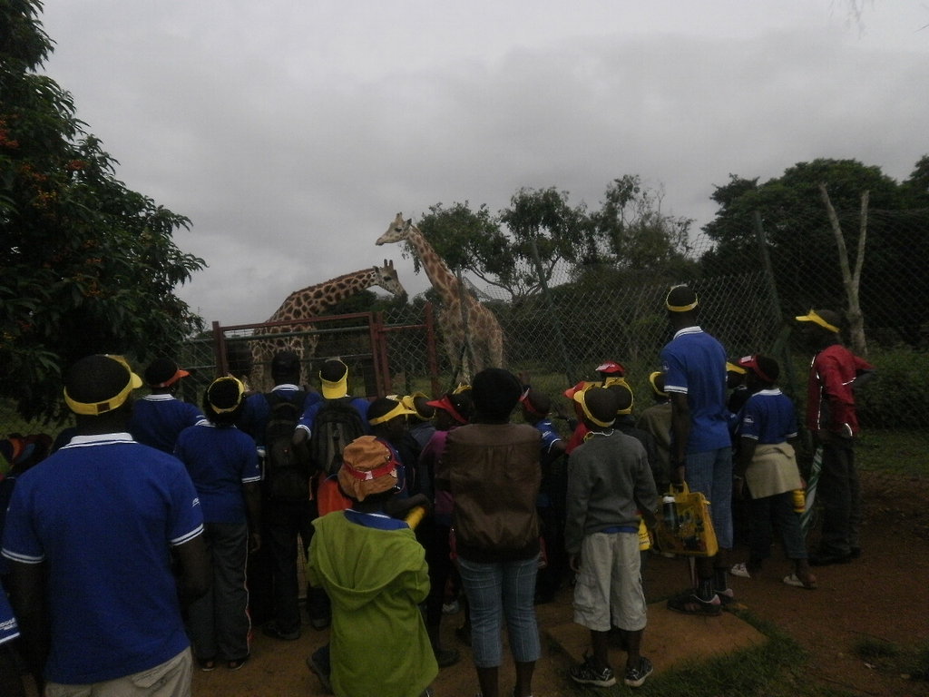 Send 80 HIV-infected Children to Sanyuka Camp - GlobalGiving