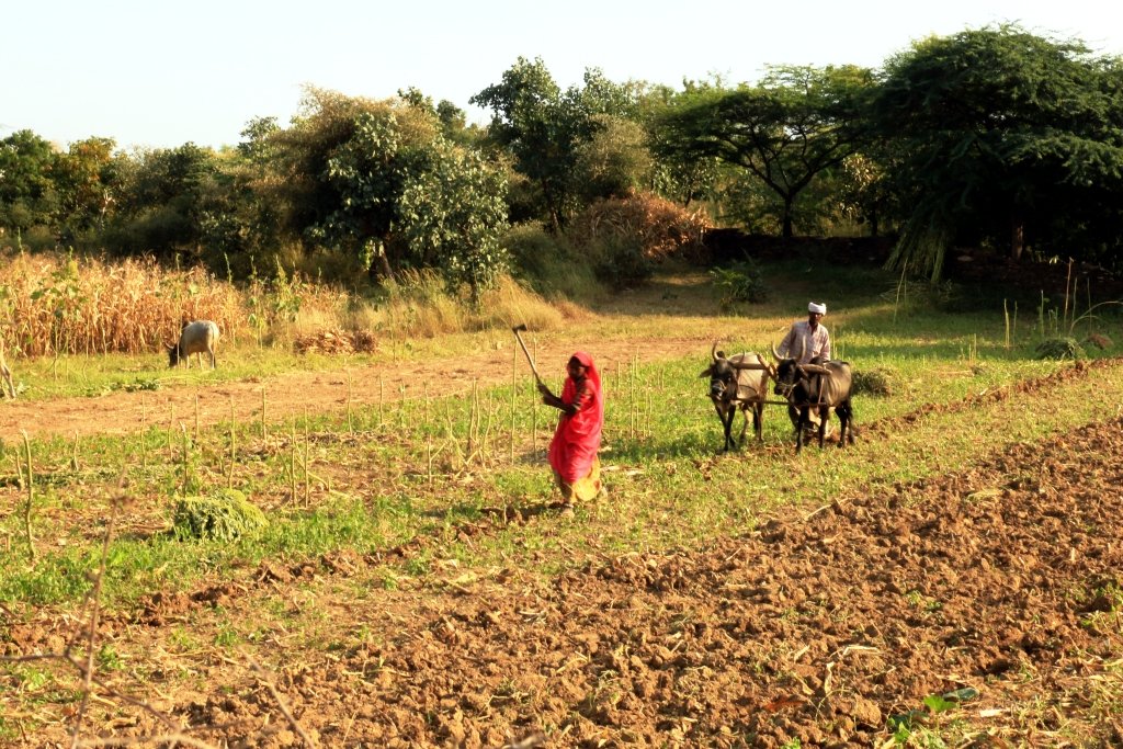 Photos from Support Poor Farmers in India - GlobalGiving