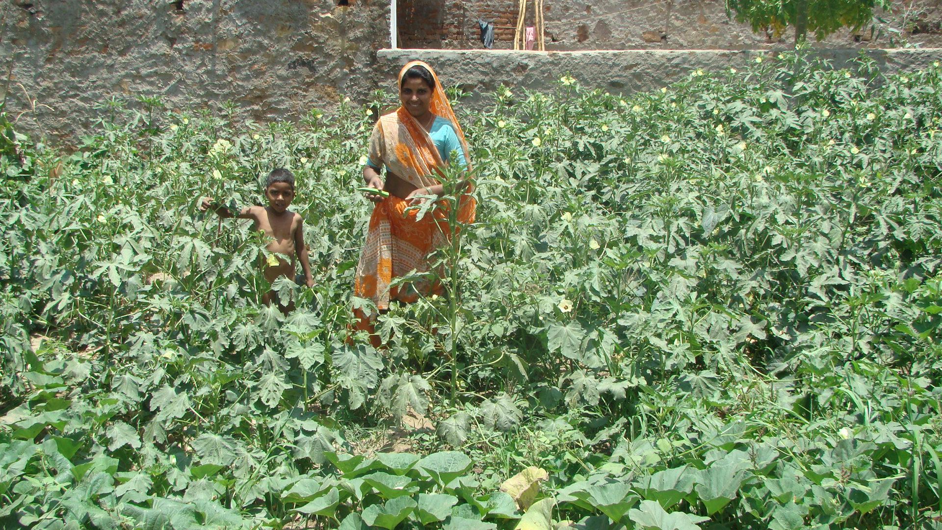 Photos from Support Poor Farmers in India - GlobalGiving