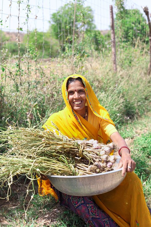Photos from Support Small Farmers in India - GlobalGiving