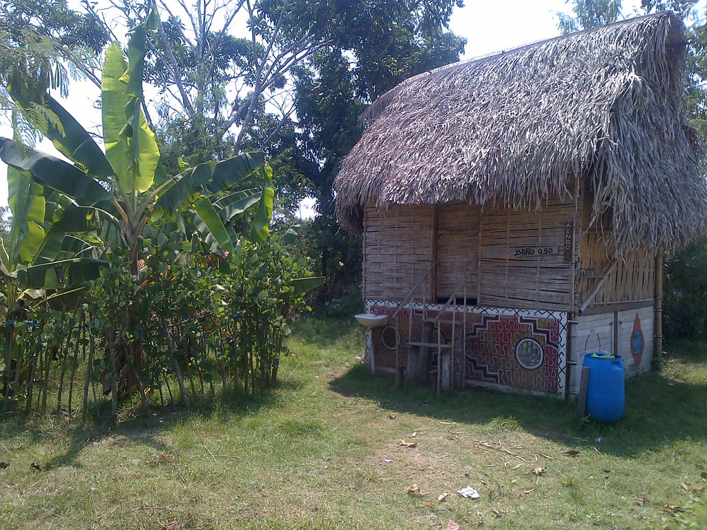 Agroforestry the Peruvian Amazon - GlobalGiving