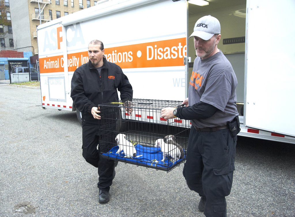 Donate to Come to Their Rescue - GlobalGiving