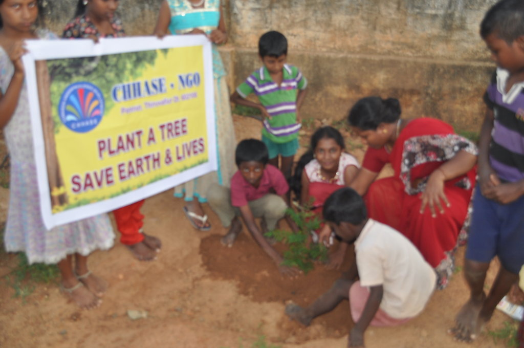 provide 1000 plants to school planting programs - GlobalGiving