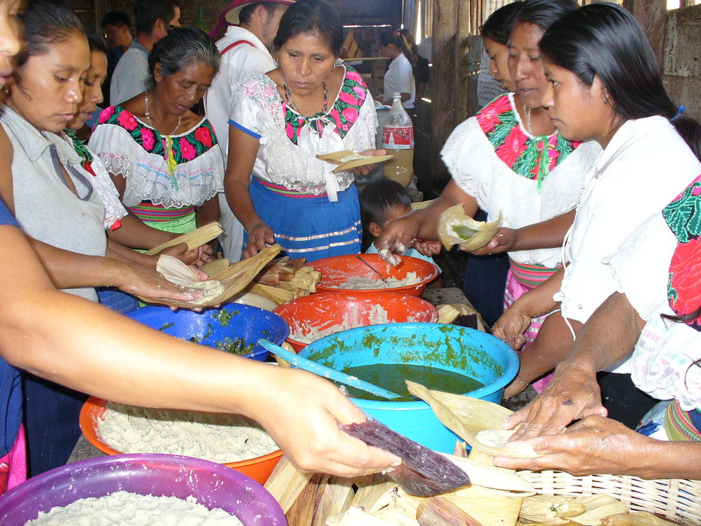 Health for 45 indigenous communities in Mexico - GlobalGiving