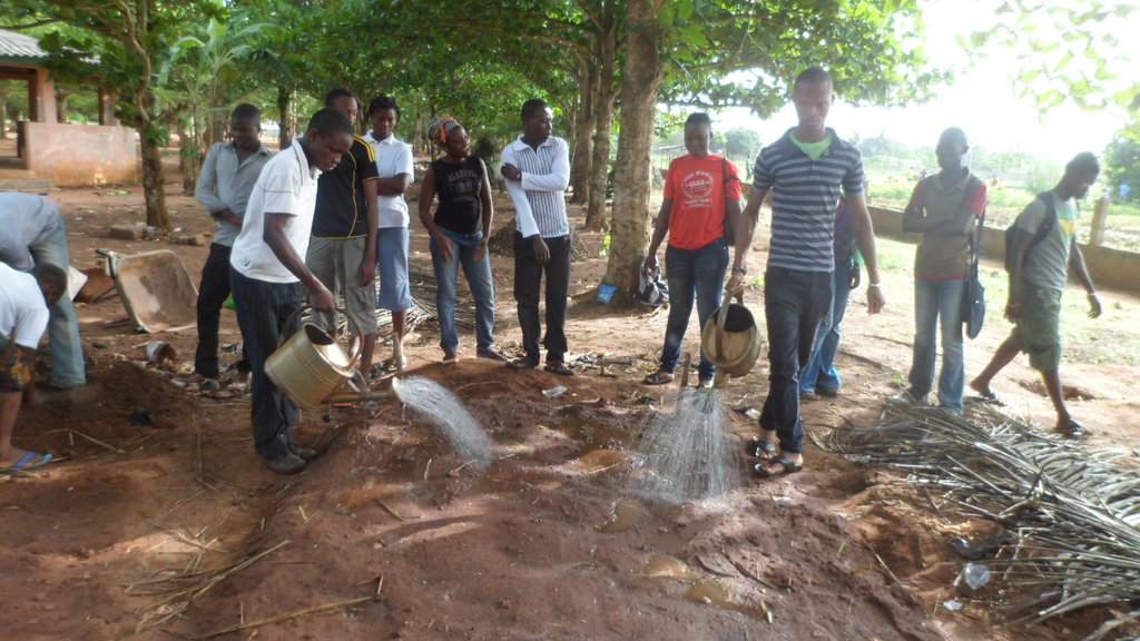 Integration of 150 young in agriculture in Benin - GlobalGiving