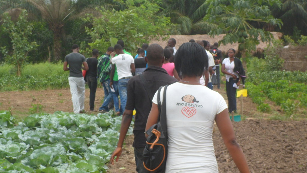 Integration of 150 young in agriculture in Benin - GlobalGiving