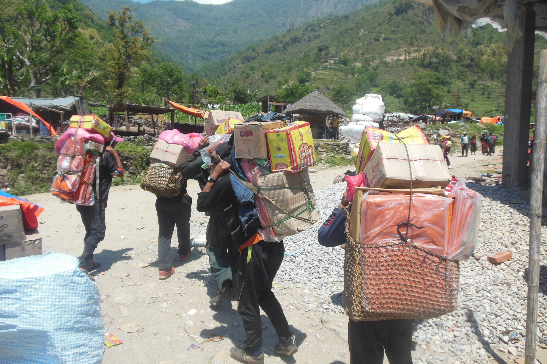 Earthquake shocks Nepal - GlobalGiving