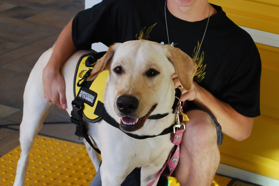 Seizure-Response Dog for Christian - GlobalGiving