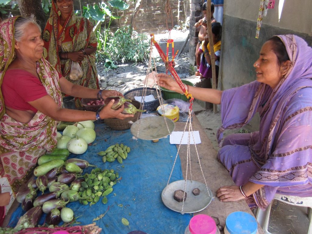 Improve health and income of 50 very poor women - GlobalGiving