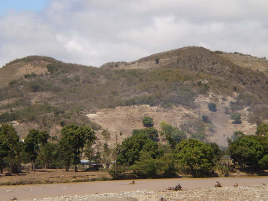 Let's Plant Trees in Haiti, Together! - GlobalGiving