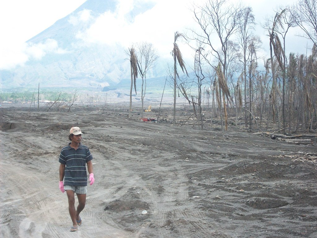 Reports on Trees Cultivation to lessen impact Global Warming - GlobalGiving Reports on Trees Cultivation to lessen impact Global Warming - GlobalGiving