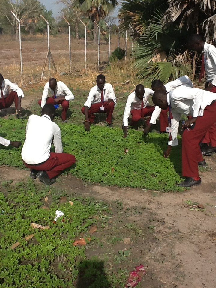 Teach 250 Students Farming Skills in South Sudan - GlobalGiving
