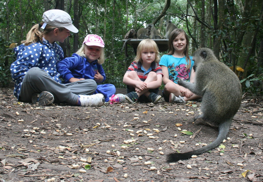 Educate Youth on Animal Welfare - GlobalGiving