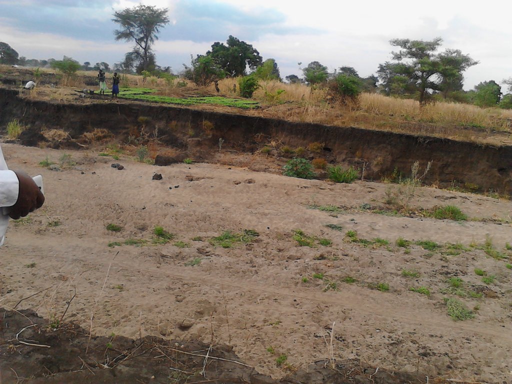 Promote afforestation to improve climate change - GlobalGiving