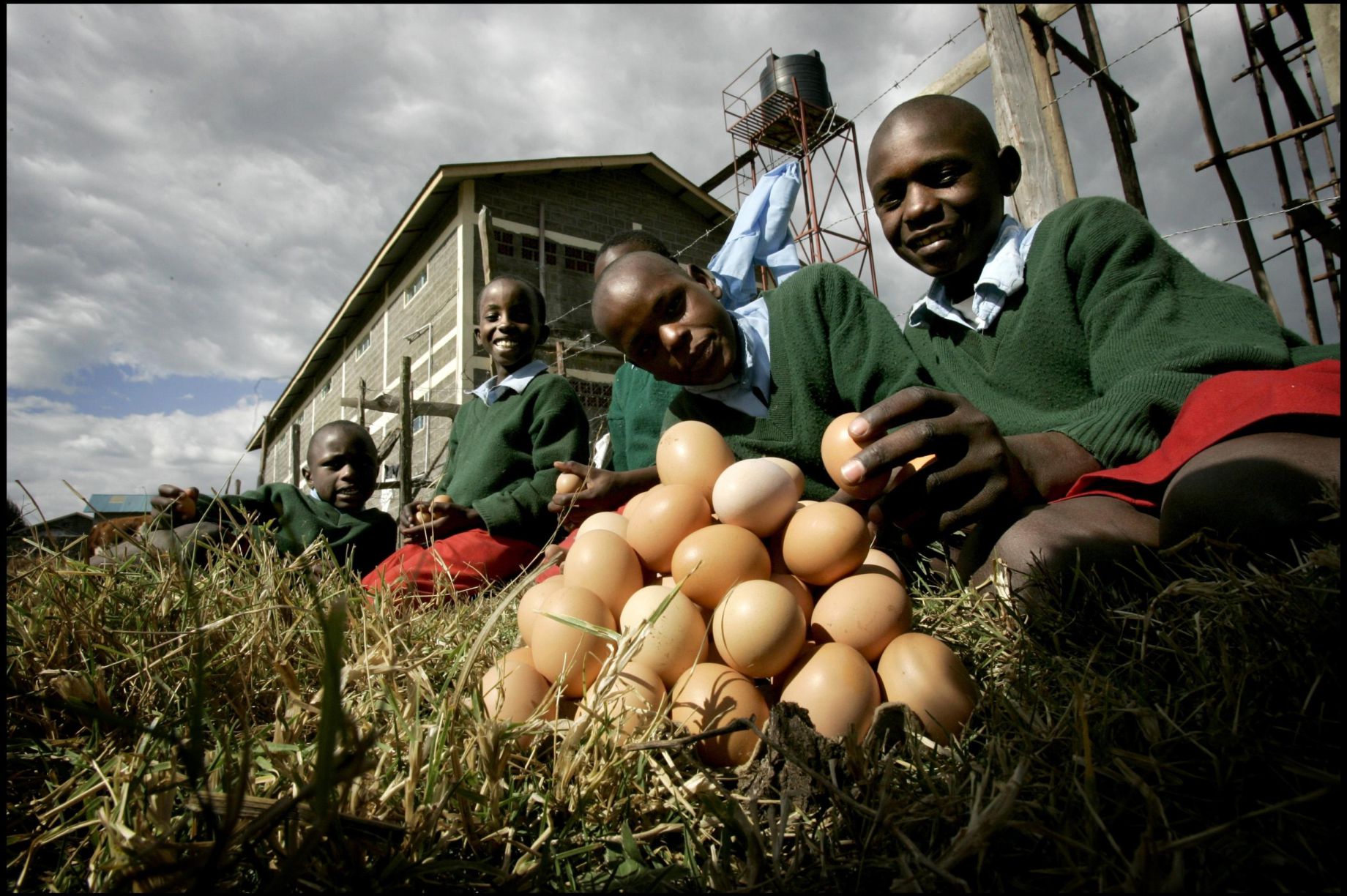 Be a Good Egg- Eggs for kids in poorer countries - GlobalGiving