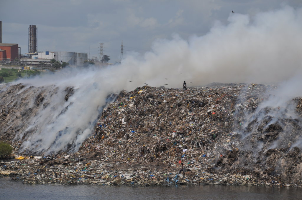 Save a Turtle by Reducing Marine Litter in Kenya - GlobalGiving