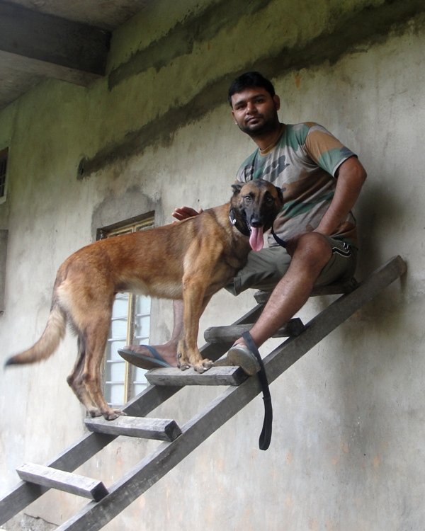 New Anti-poaching dog for Assam - GlobalGiving