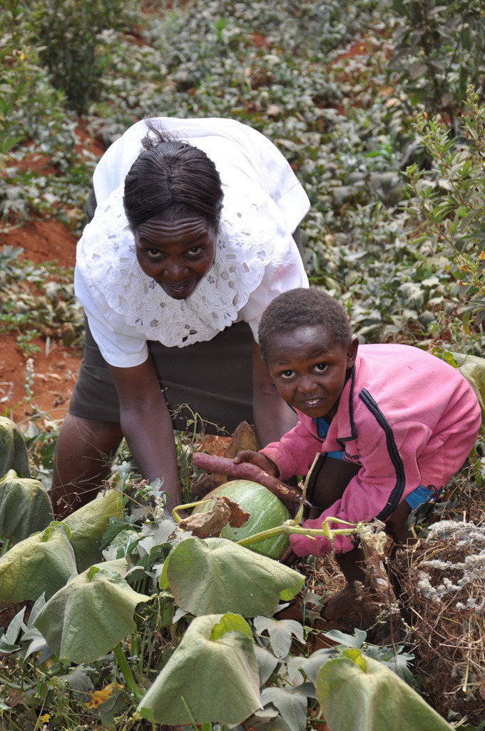 Planting Trees in Kenya - GlobalGiving