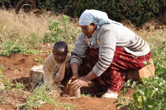Planting Trees in Kenya - GlobalGiving