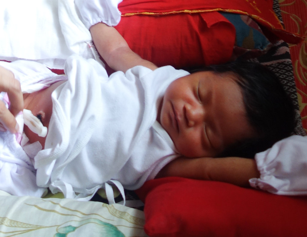 Healthy Ladies, Healthy Babies Project - GlobalGiving