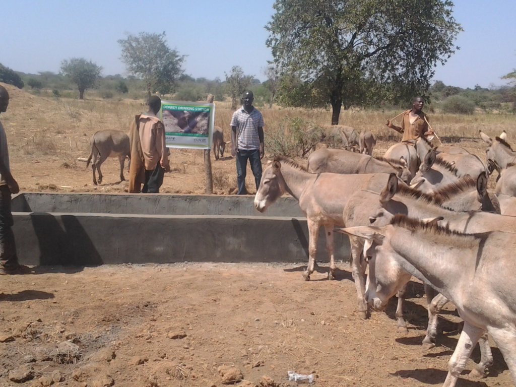 Build Water Stations for the Donkeys - GlobalGiving