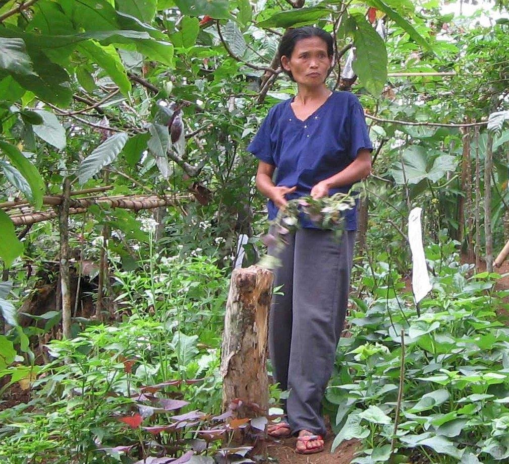 500 Farmers Go Organic Farming-Philippines - GlobalGiving