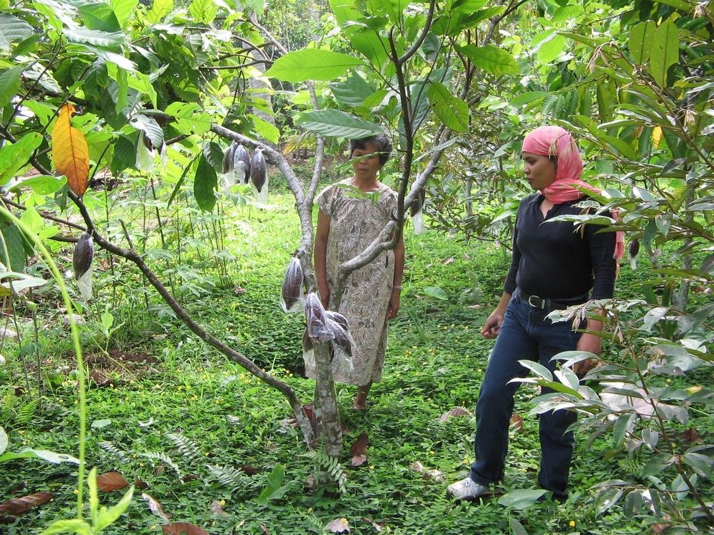 500 Farmers Go Organic Farming-Philippines - GlobalGiving