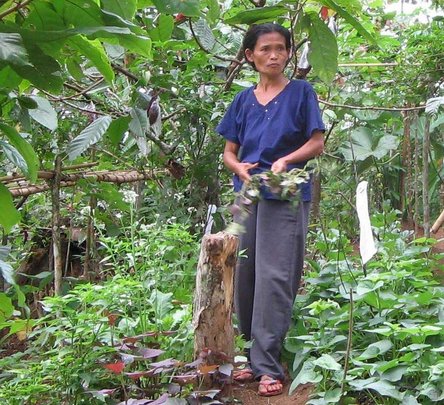 500 Farmers Go Organic Farming-Philippines - GlobalGiving