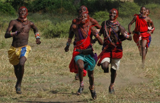 Maasai Olympics Ending Lion Killings In Kenya Globalgiving