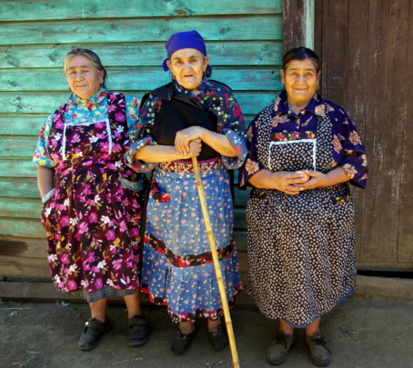 Textile Skills for Mapuche Women in Chile - GlobalGiving
