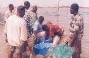 Sustainable Aquaculture for Subsistence Fisheries - GlobalGiving