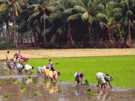 Transforming 199 Rural Villages in India - GlobalGiving