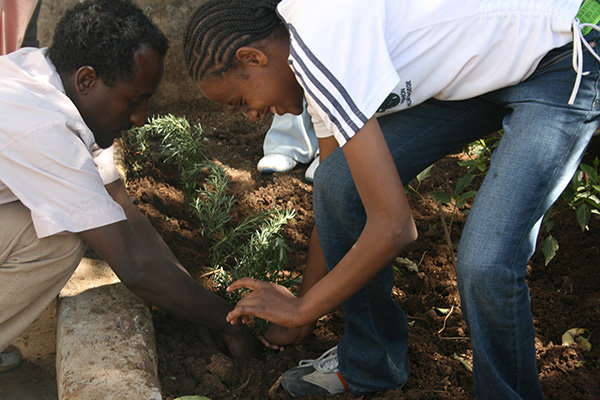 Reports on Build an Autism Center for 500 Ethiopian Children - GlobalGiving