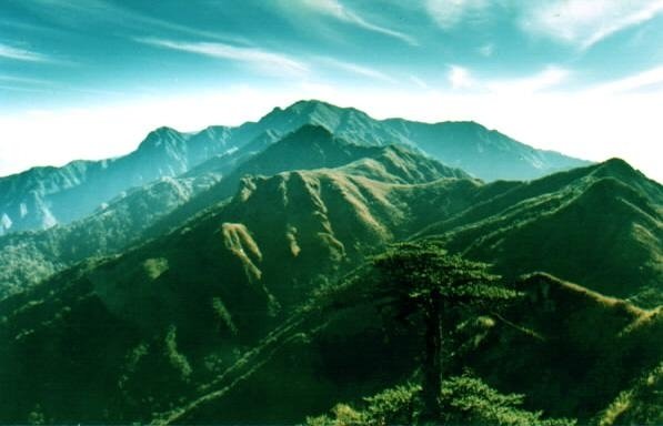 Preserving Primates in China - GlobalGiving