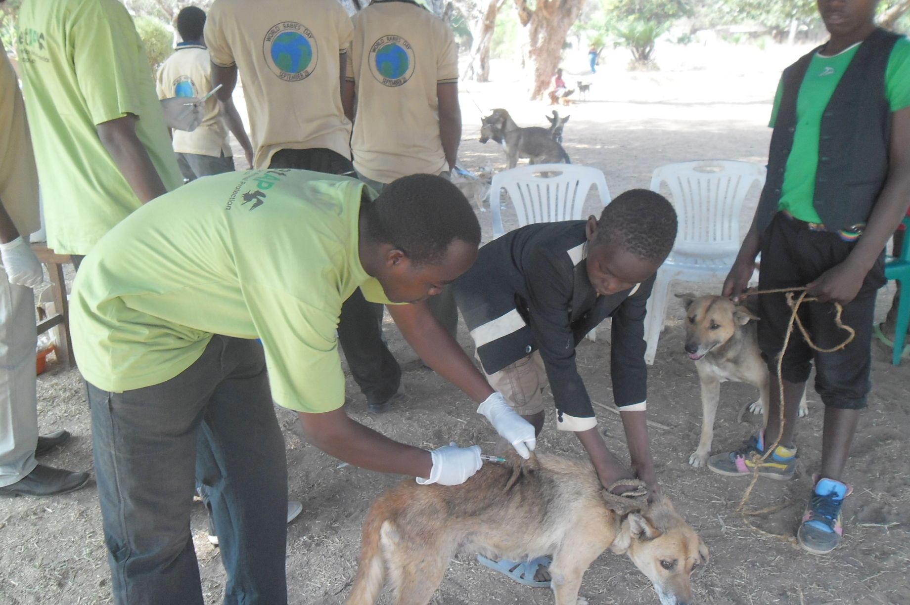 Children Against Rabies Disease - GlobalGiving