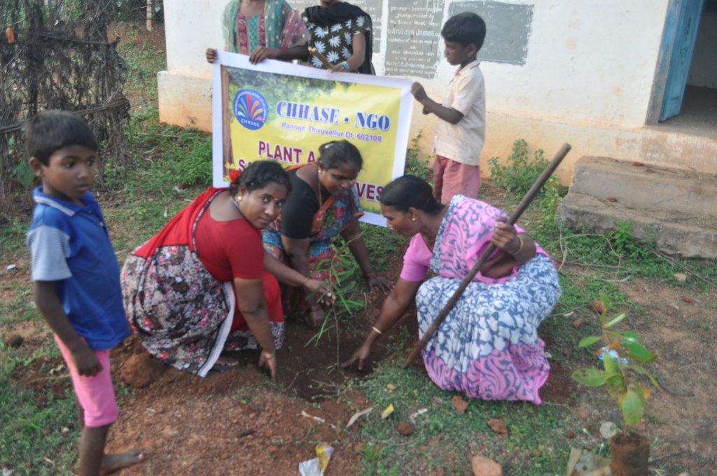 Help to plant 1000 trees in schools - GlobalGiving