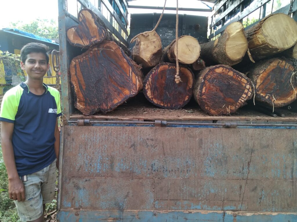 Photos from Giant Trees for Climate Change Mitigation in India ...