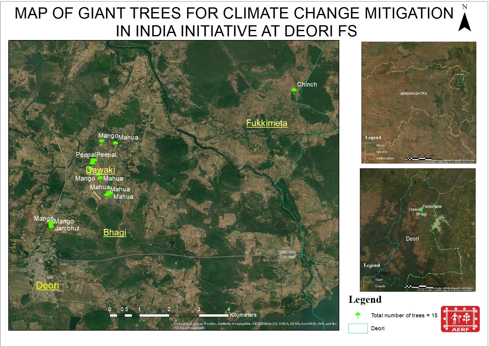 Photos from Giant Trees for Climate Change Mitigation in India ...