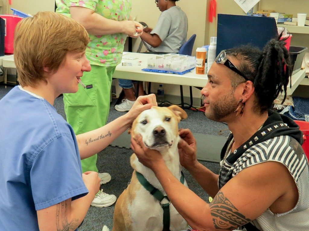 Free Veterinary Clinics GlobalGiving free-veterinary-clinics-globalgiving