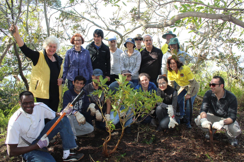 How to Share FNPW Creating Healthy & Connected Communities - GlobalGiving