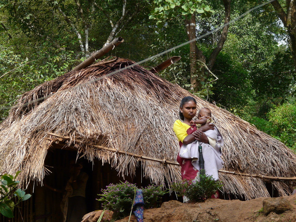 How to Share Build 14 new homes for indigenous tribes in India ...