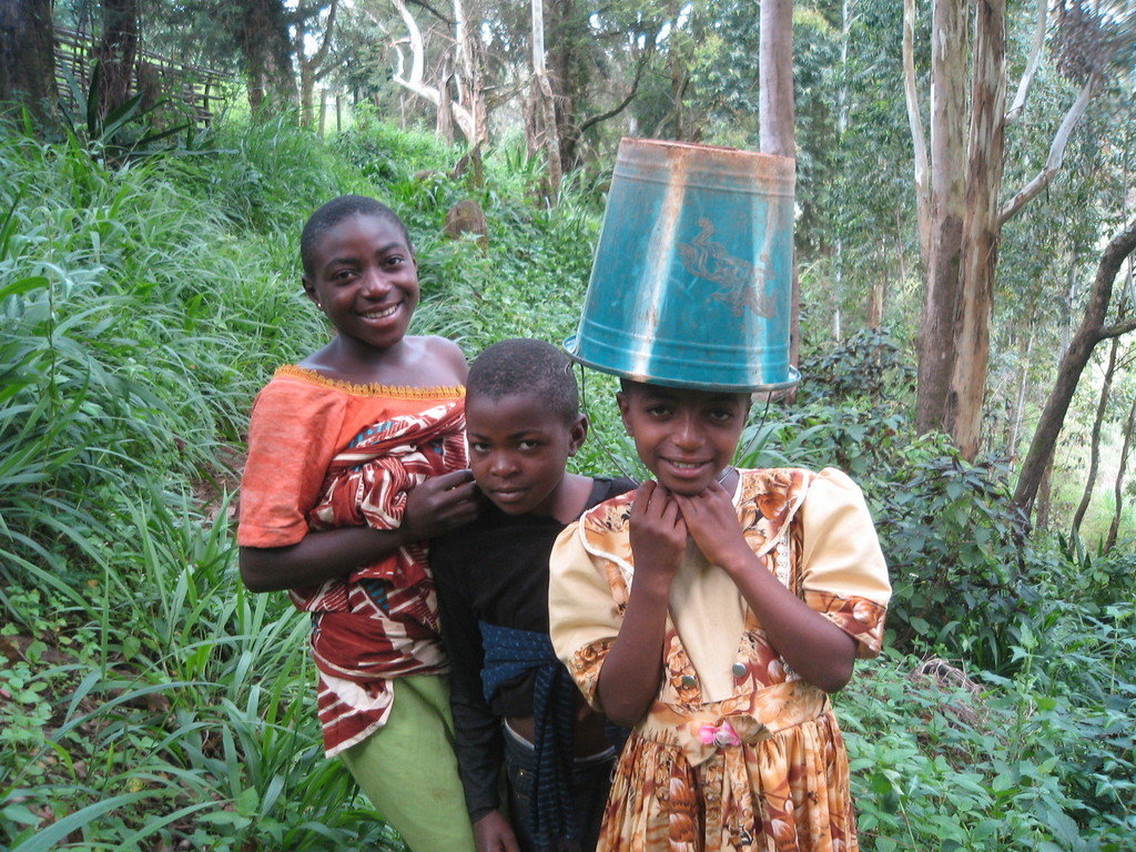 Trees for Water for Life in Cameroon - GlobalGiving