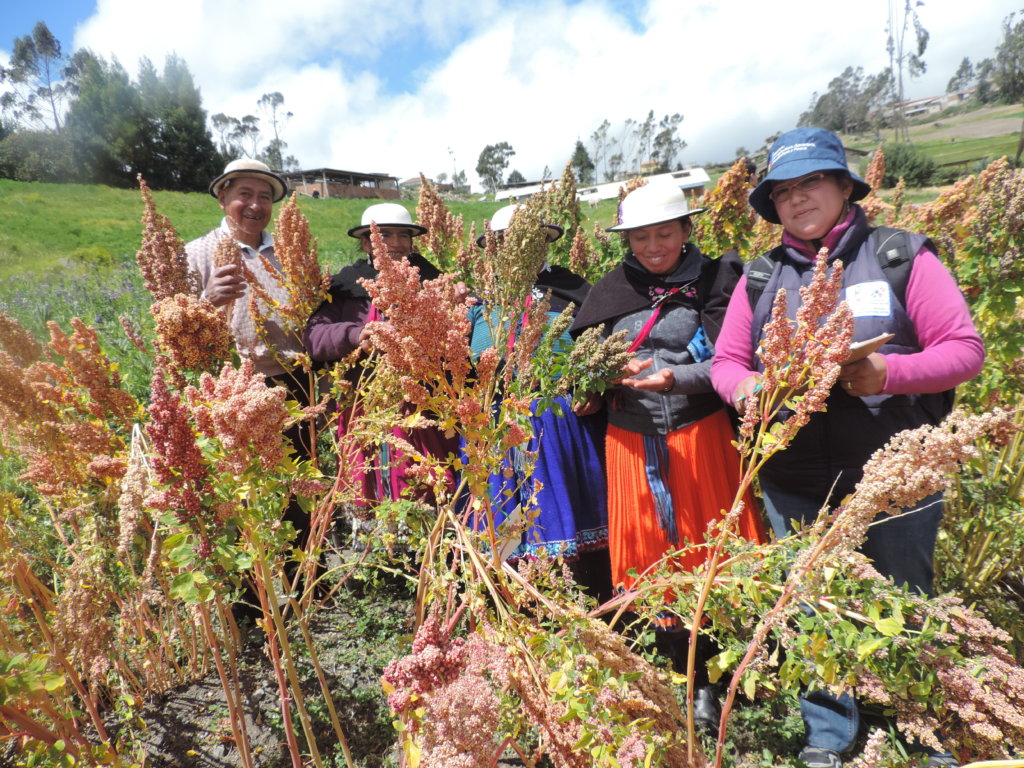 Food Governance for 600 Kanari Families in Ecuador - GlobalGiving