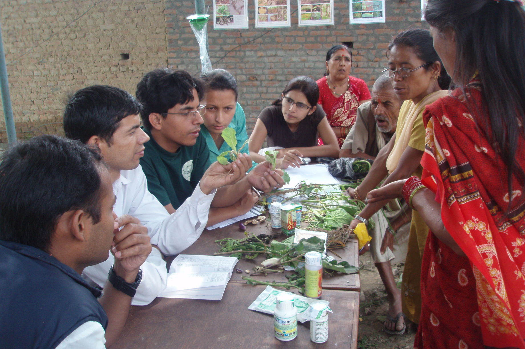 Plant Clinic for Sustainable Agriculture - GlobalGiving