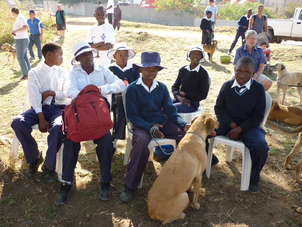 Survival of Animal Welfare Charity in Zimbabwe - GlobalGiving